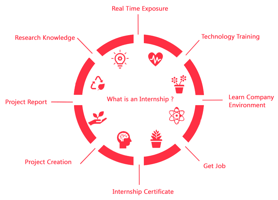 Internship vs Placement: A Detailed Comparison